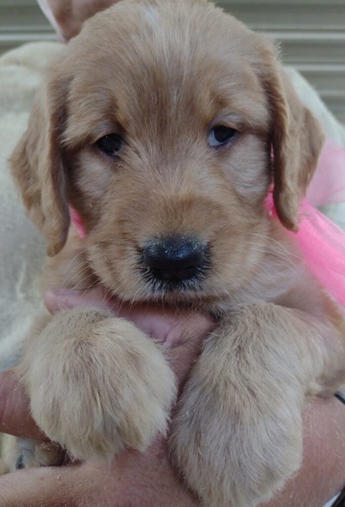 CONGRATULATIONS John And Carla From Medina, MN! Enjoy Your New Red ...