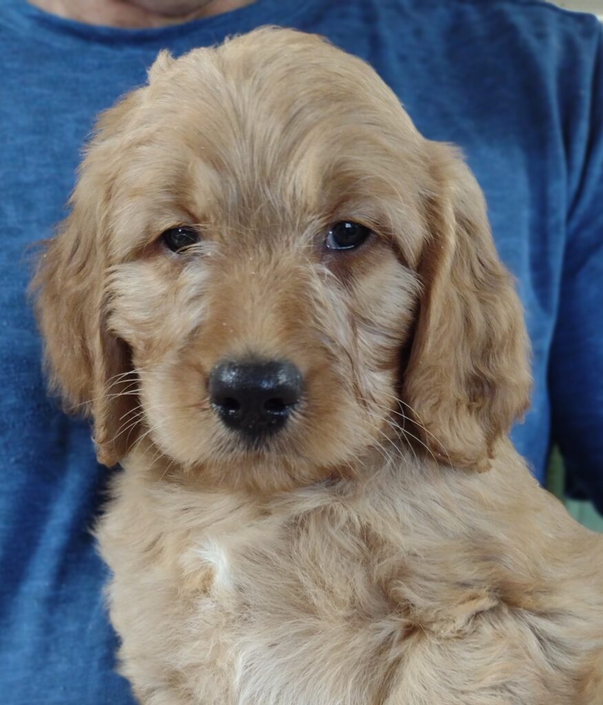 CONGRATULATIONS To Michelle And Family Of Medford, MN On Your Beautiful ...